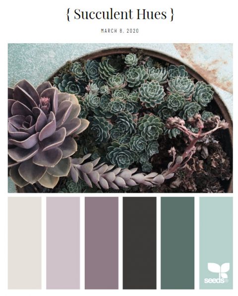 Design Seeds - Artifex Art